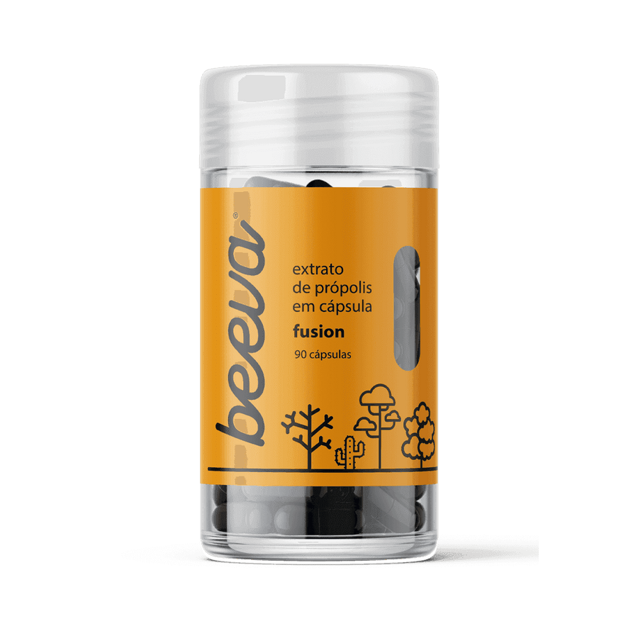 Beeva Brazil - Inovação Sustentável e Soluções para a Apicultura
