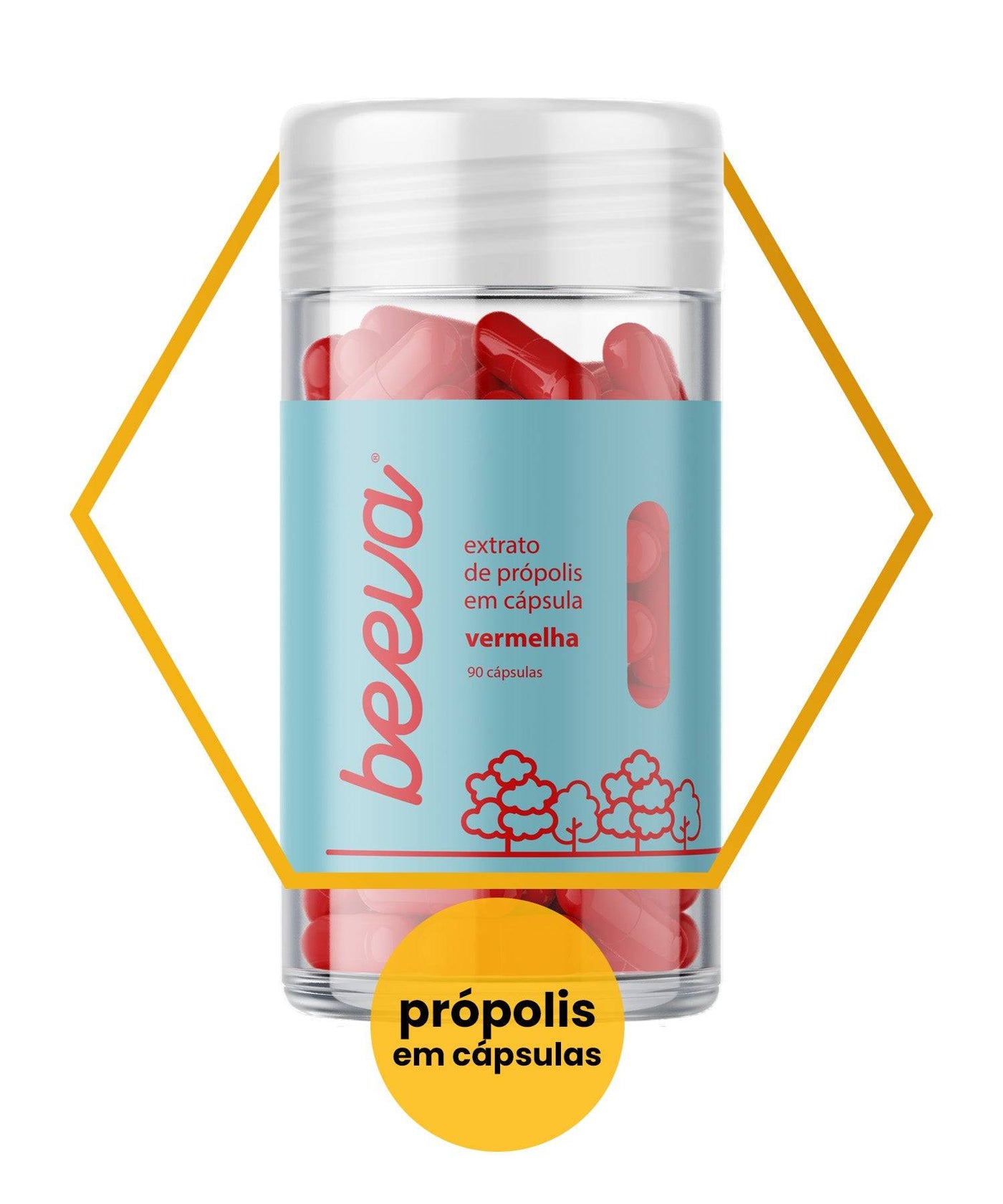 Beeva Brazil - Inovação Sustentável e Soluções para a Apicultura