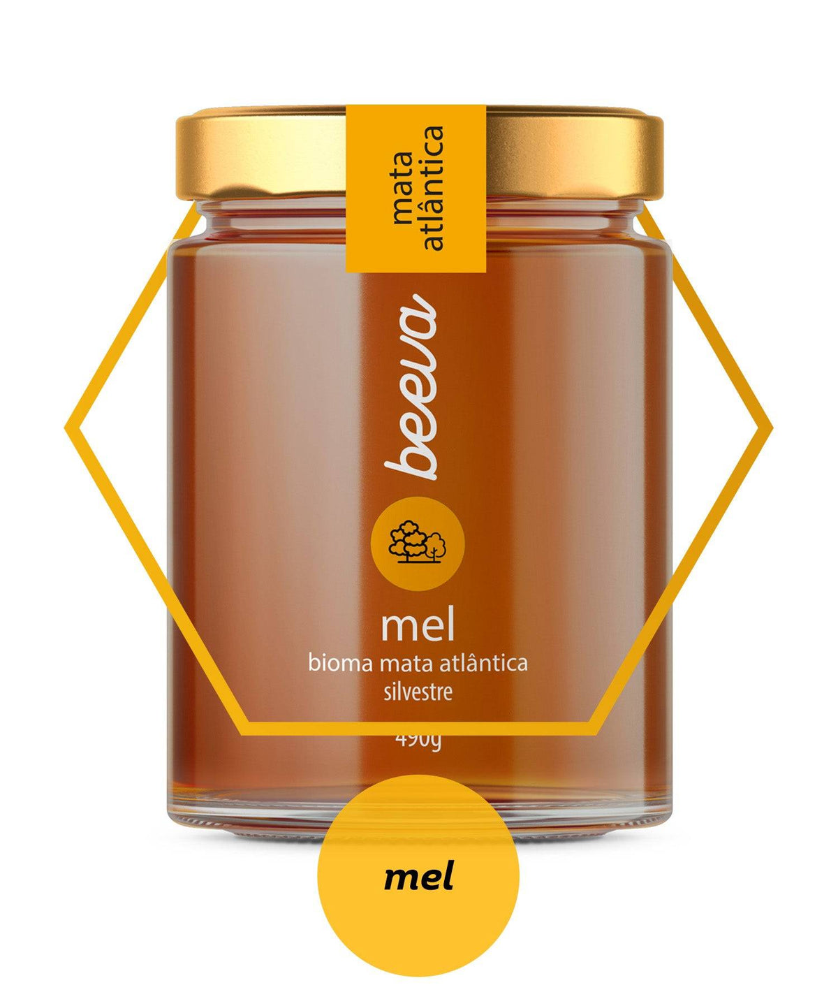 Beeva Brazil - Inovação Sustentável e Soluções para a Apicultura